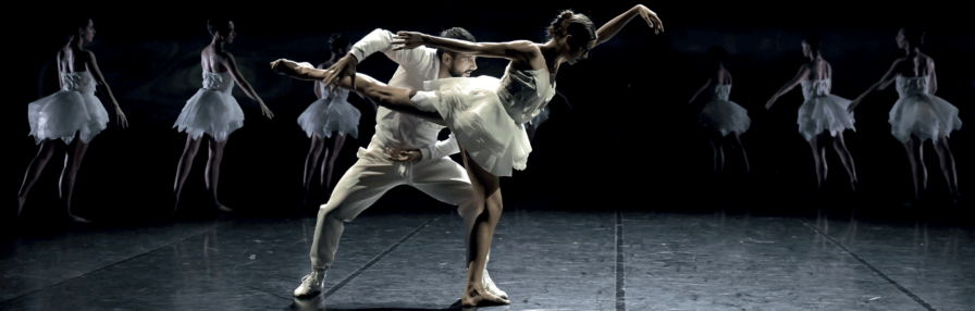 Le Lac des cygnes - Opéra Royal