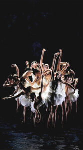 BALLET PRELJOCAJ : LE LAC DES CYGNES - Opéra Royal